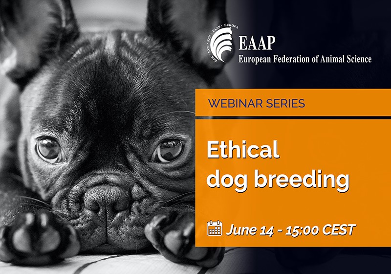 Webinars – EAAP Annual Meetings