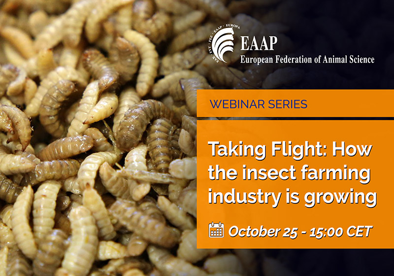 Taking Flight: How the insect farming industry is growing – EAAP Annual ...