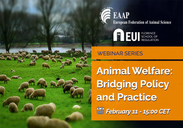 Animal Welfare: Bridging Policy and Practice – EAAP Annual Meetings
